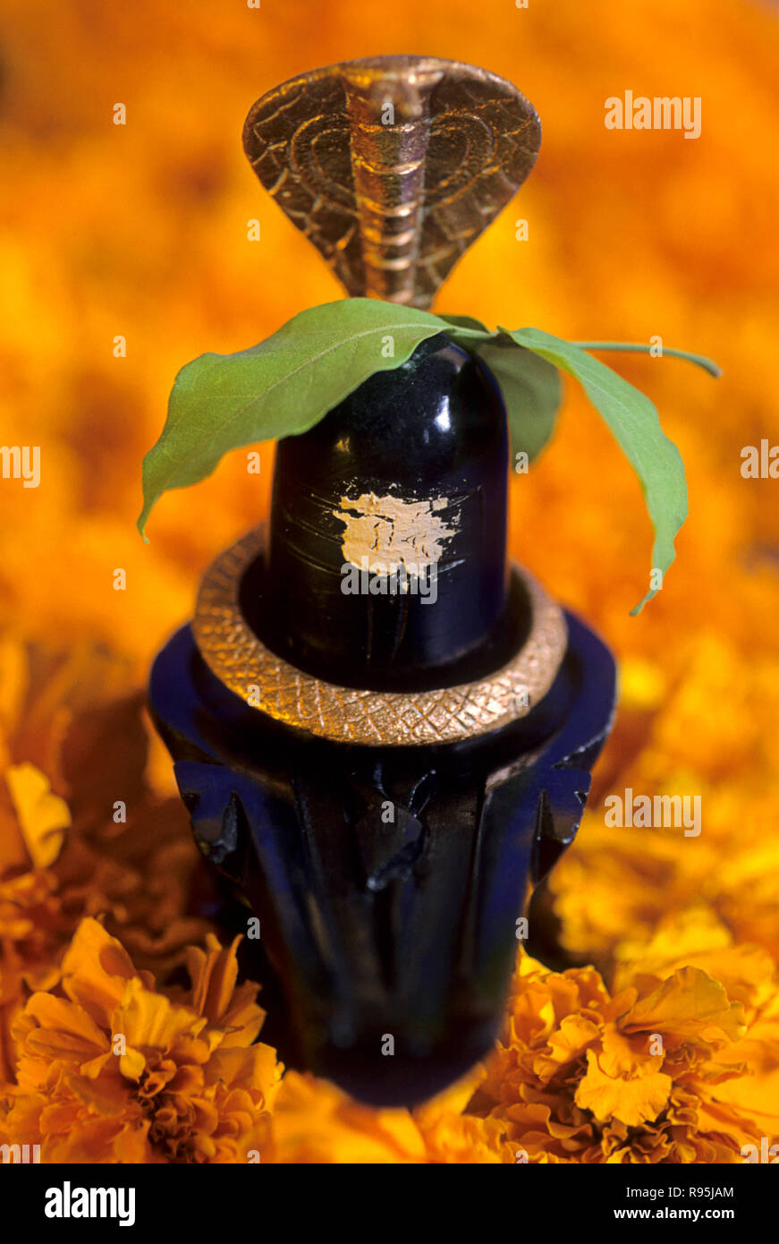 Shiva the destroyer hi-res stock photography and images - Alamy