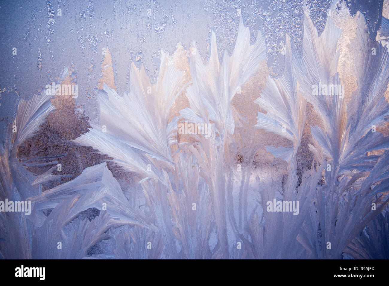Frosty pattern on the glass. Winter Christmas abstract backdrop ...