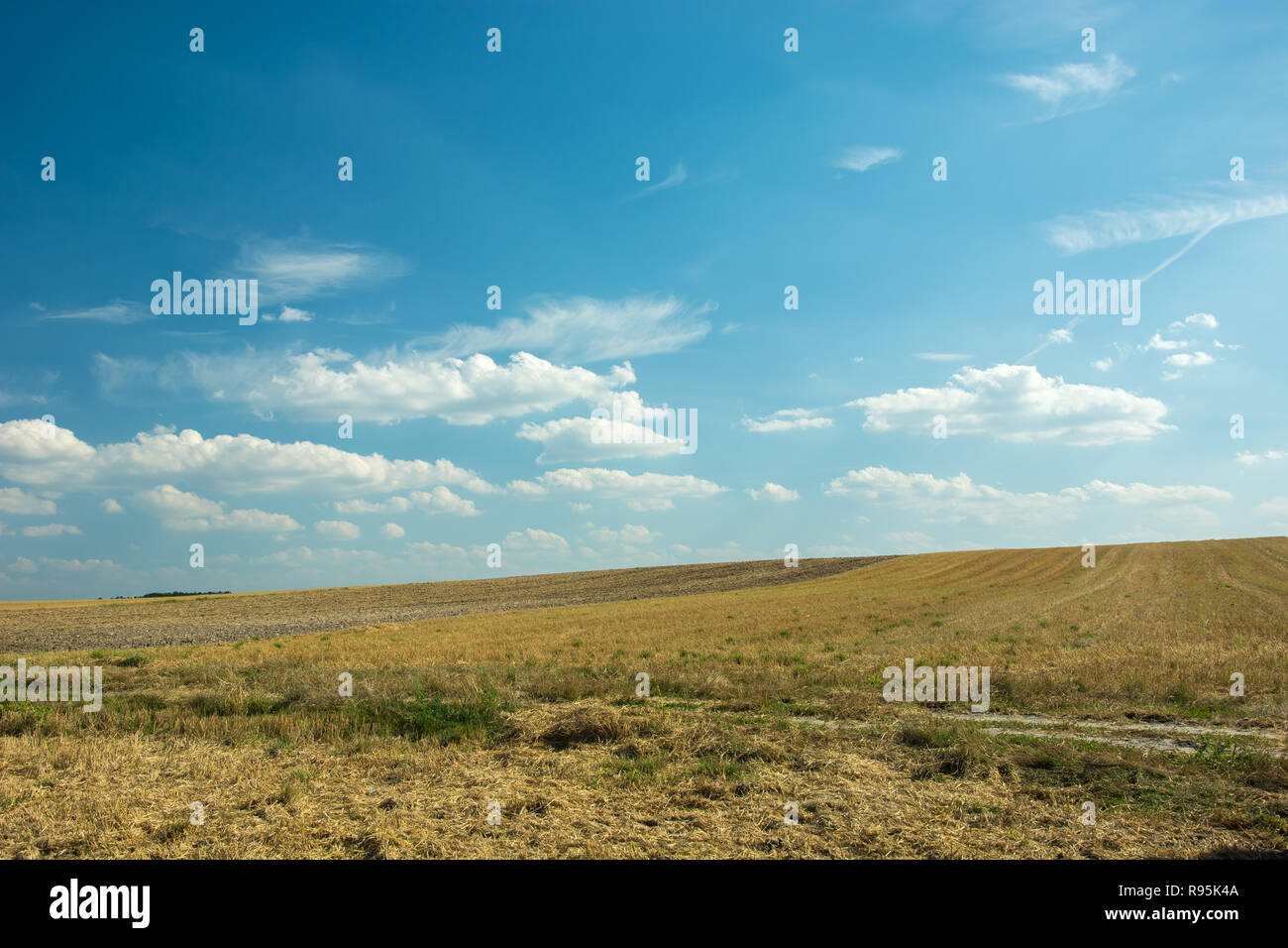 Mowed field hi-res stock photography and images - Alamy