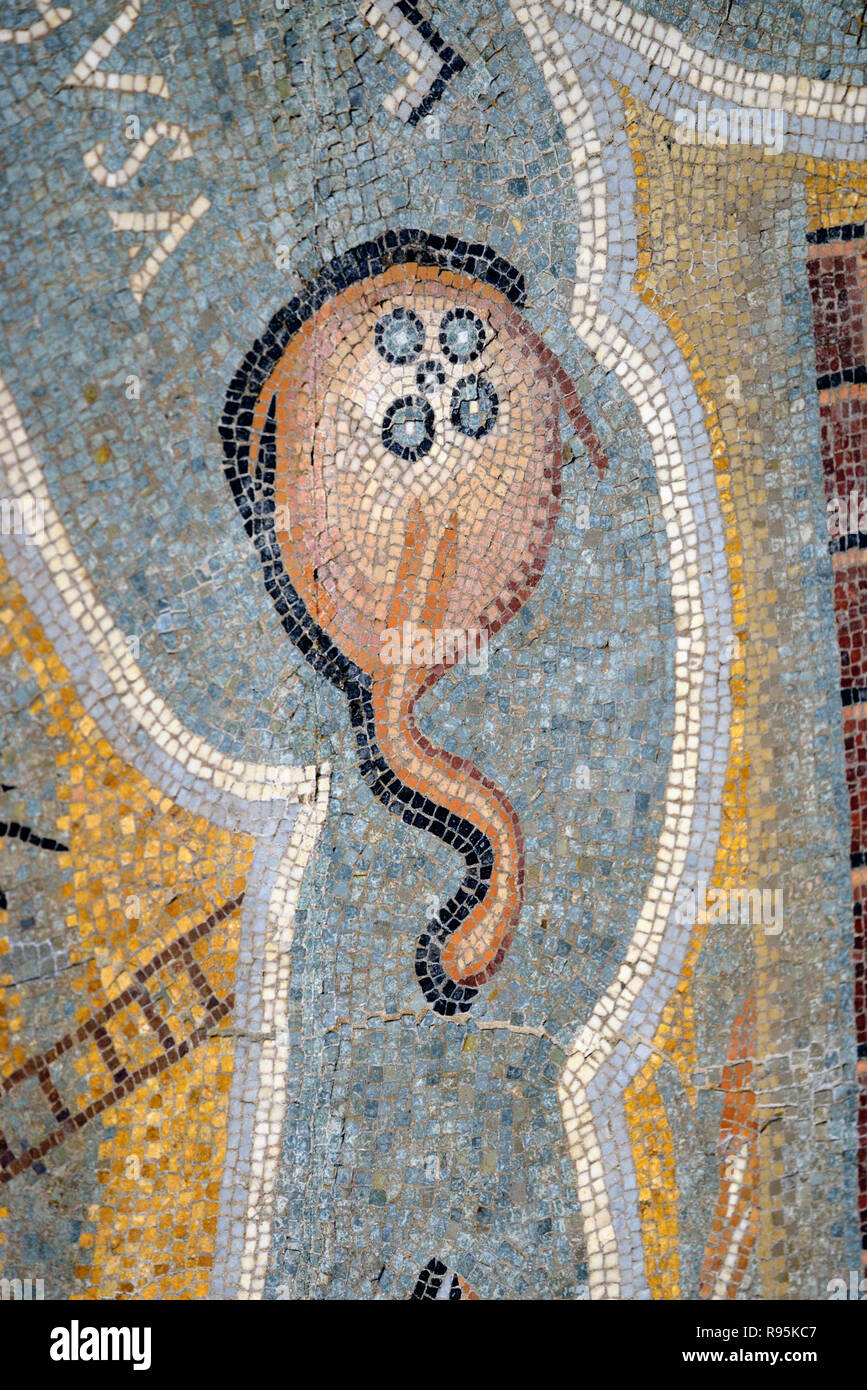 Roman mosaic fish hi-res stock photography and images - Alamy