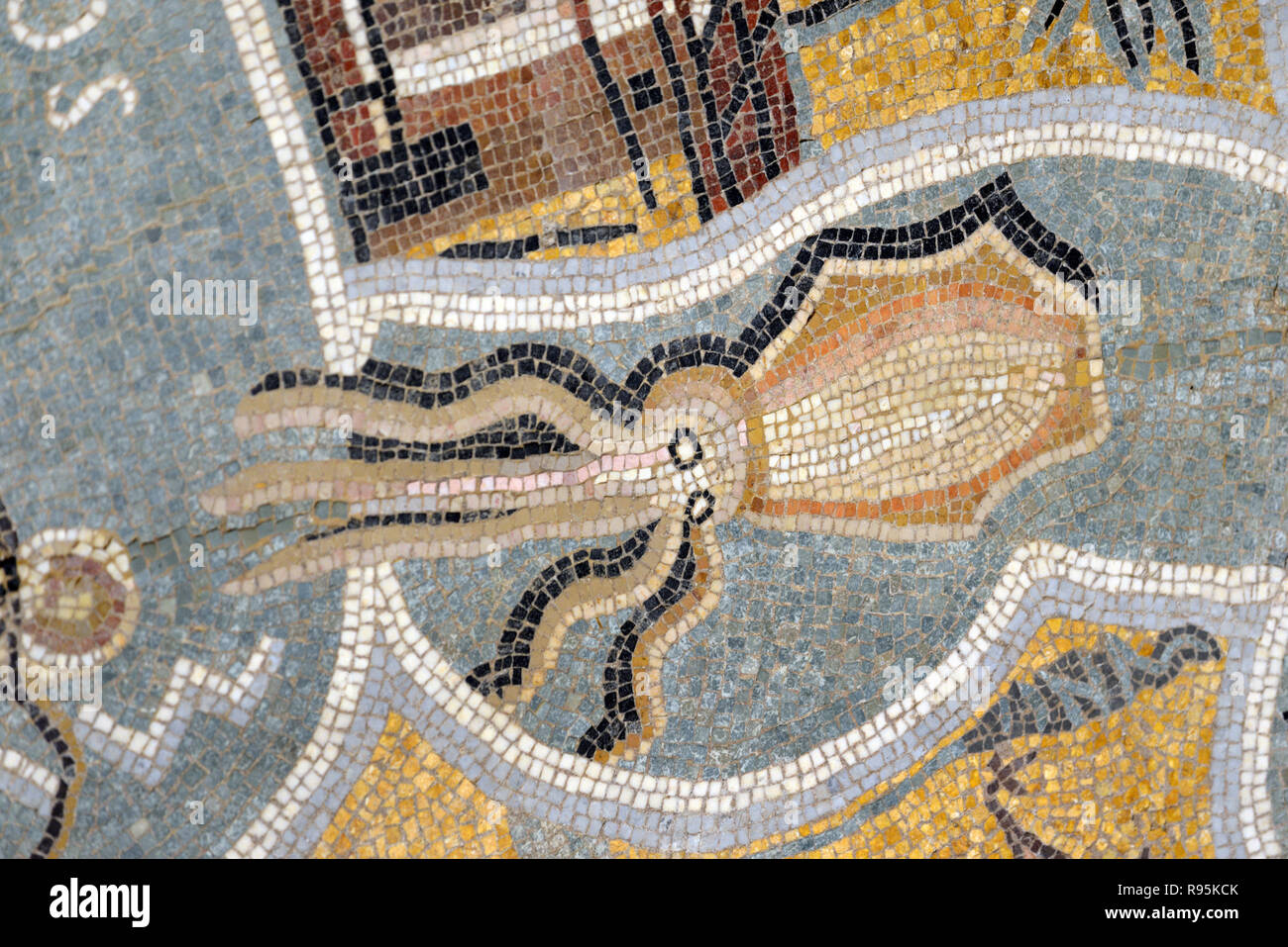 Roman Floor Mosaic (c3rd-c4th) of Cuttlefish & Mediterranean Seabed ...