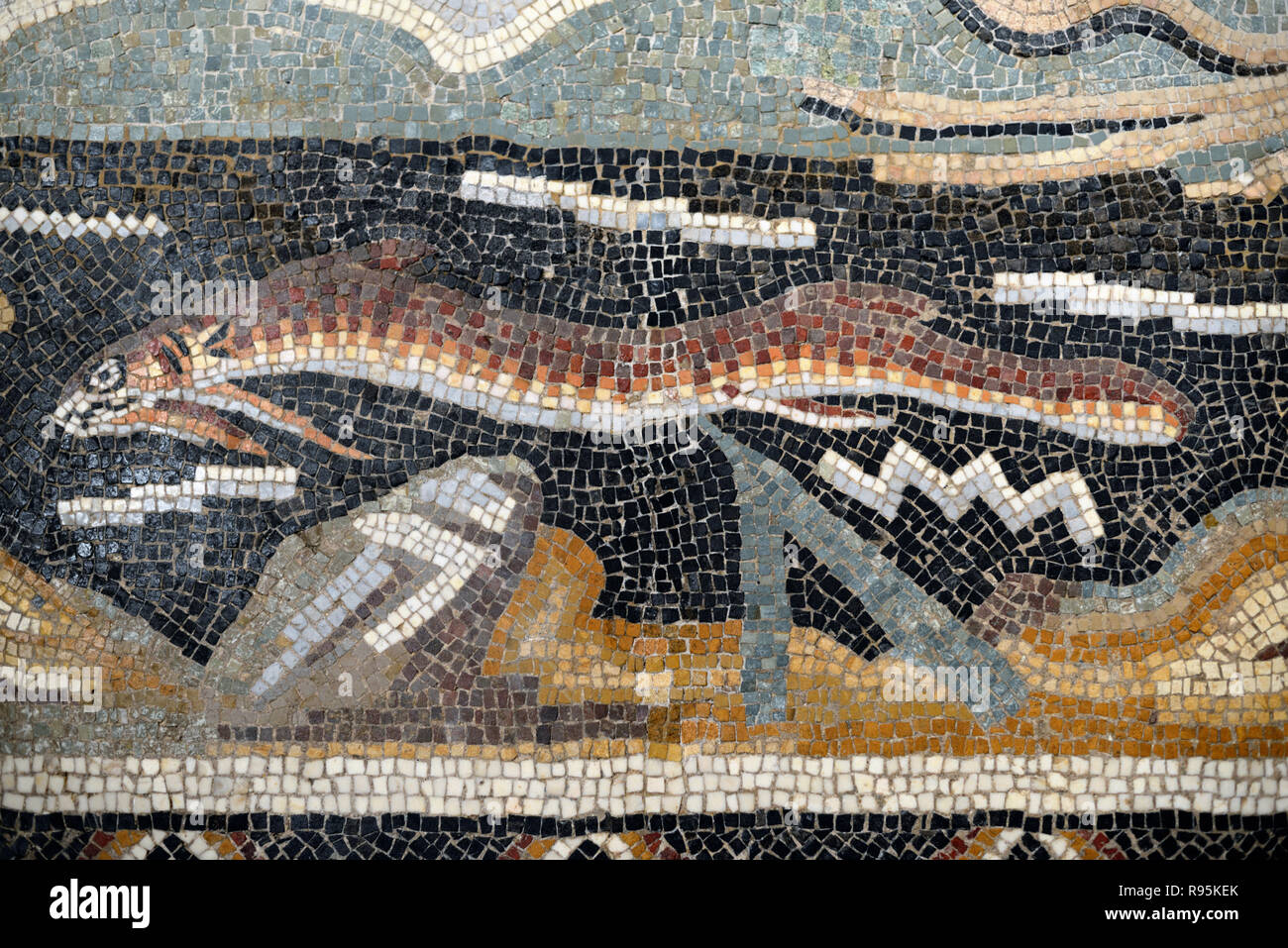 Detail of Roman Floor Mosaic (c3rd-c4th) of Eel Fish on Mediterranean ...