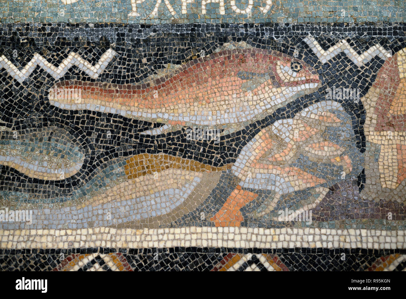 Detail of Roman Floor Mosaic (c3rd-c4th) of Fish on Mediterranean ...