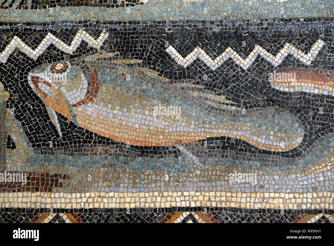 Detail of Roman Floor Mosaic (c3rd-c4th) of Fish on Mediterranean ...