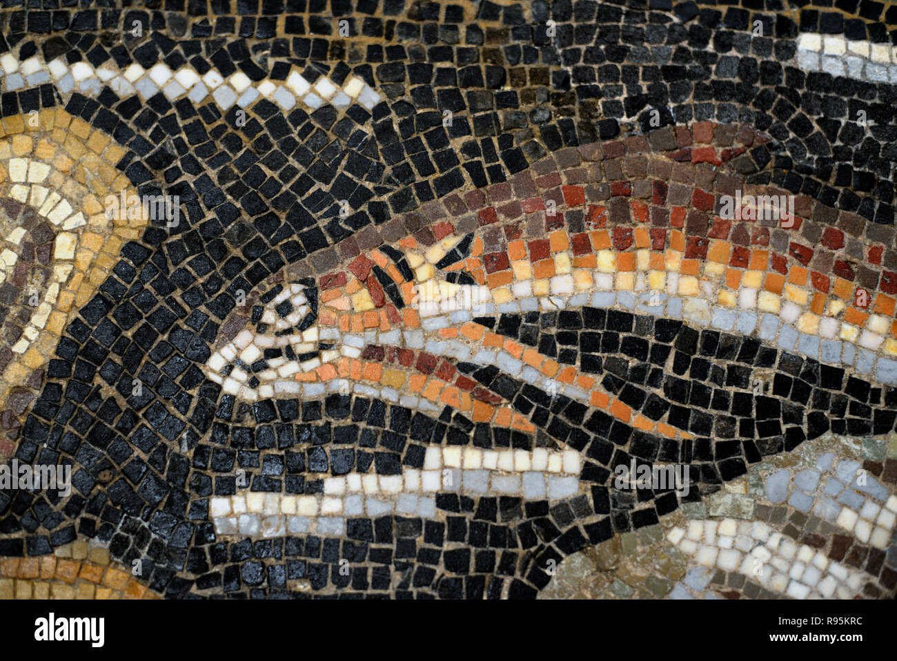 Detail of Roman Floor Mosaic (c3rd-c4th) of Eel Fish on Mediterranean ...