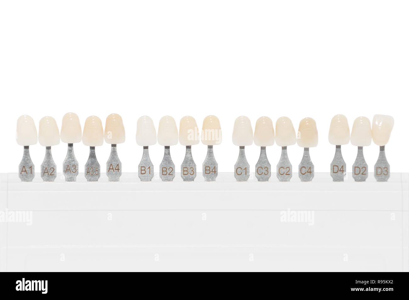 Shades of teeth. Layout closeup. Isolated on white background Stock ...