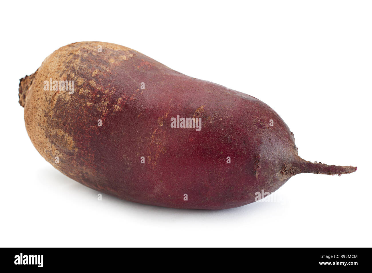 Long beet root closeup isolated on white background Stock Photo - Alamy