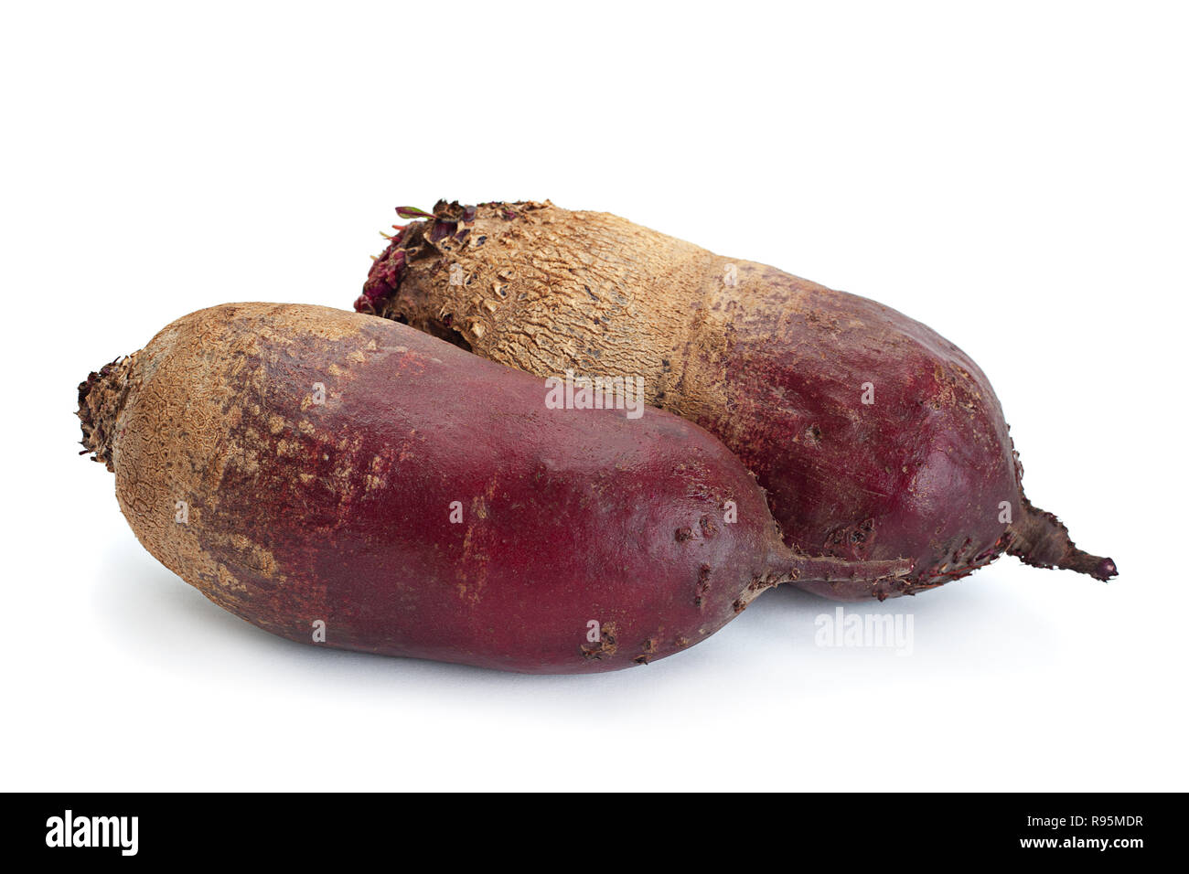 Long beet root closeup isolated on white background Stock Photo - Alamy