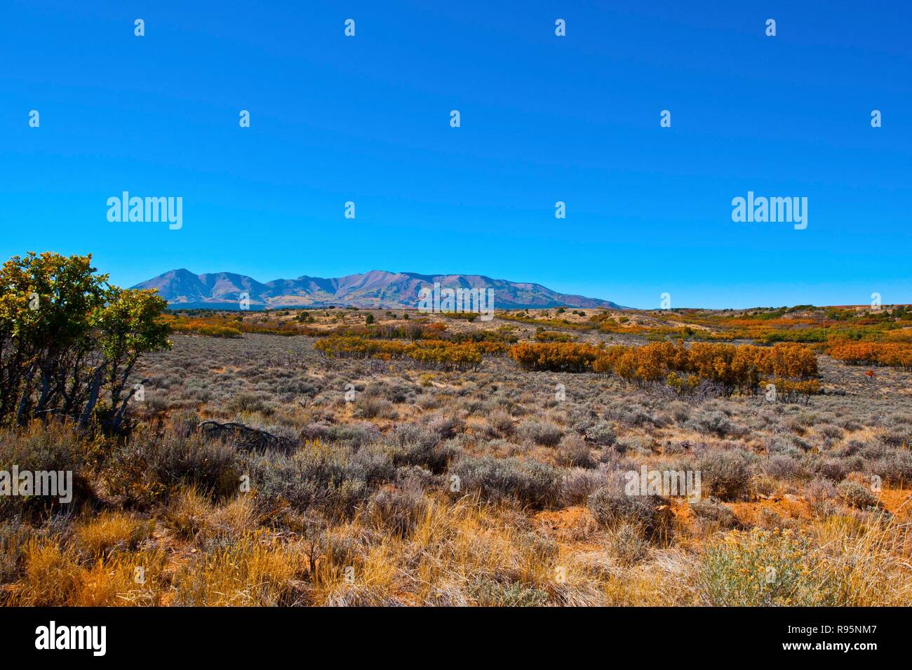 Utah, Hanksville, Henry Mountains from Highway 95 Stock Photo - Alamy
