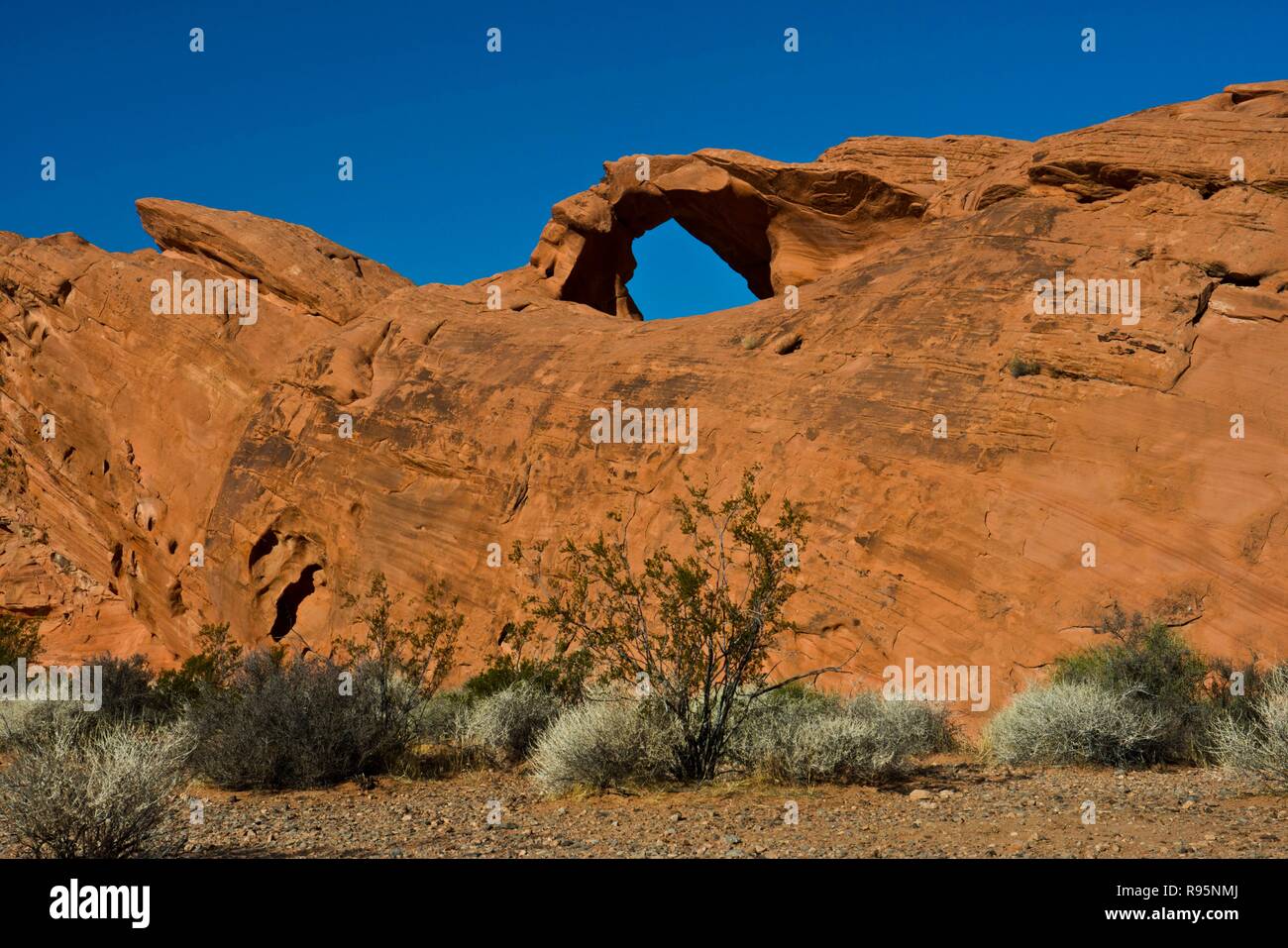 Nevada, Valley of Fire State Park Arch Rock Stock Photo - Alamy