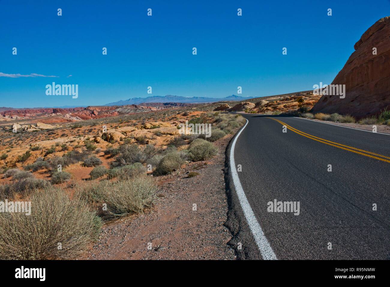 Mouse tank hi-res stock photography and images - Alamy