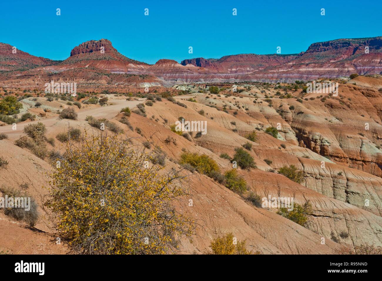 Utah, Paria Views along trail to Ghost Town Stock Photo - Alamy