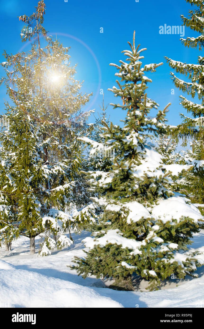 Snow and winter blue sky hi-res stock photography and images - Alamy