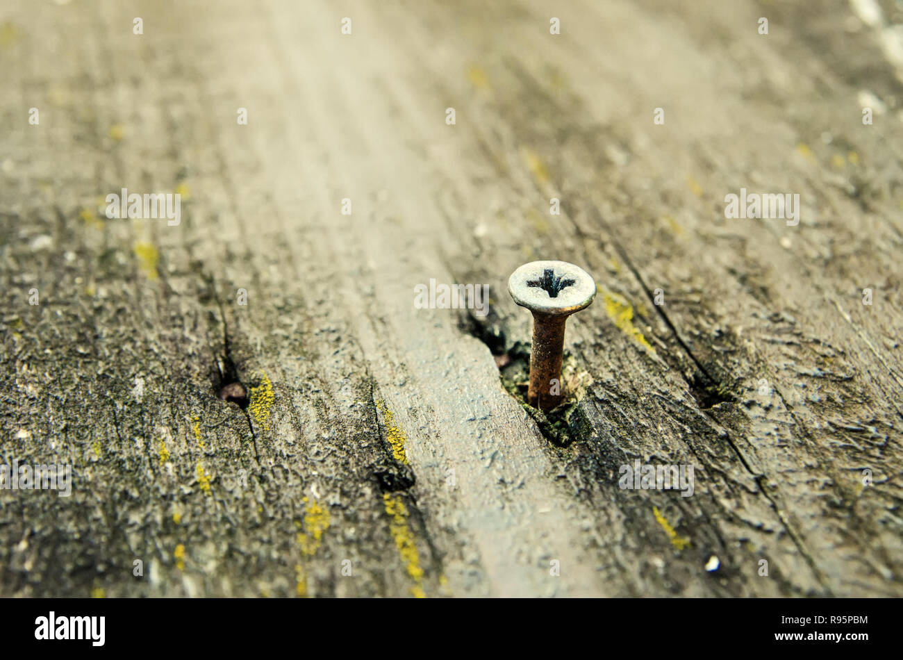 old nail in wooden wall Stock Photo - Alamy