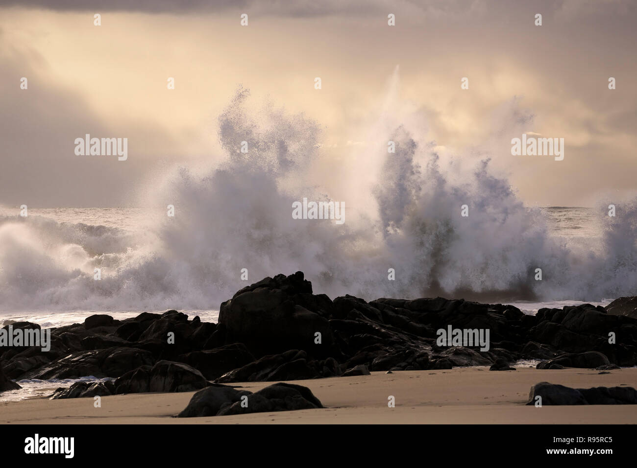 Big sea wave splash. End of the day light before storm and rain. Beach ...