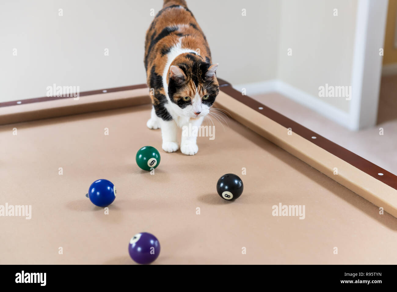 Snooker room hi-res stock photography and images - Alamy