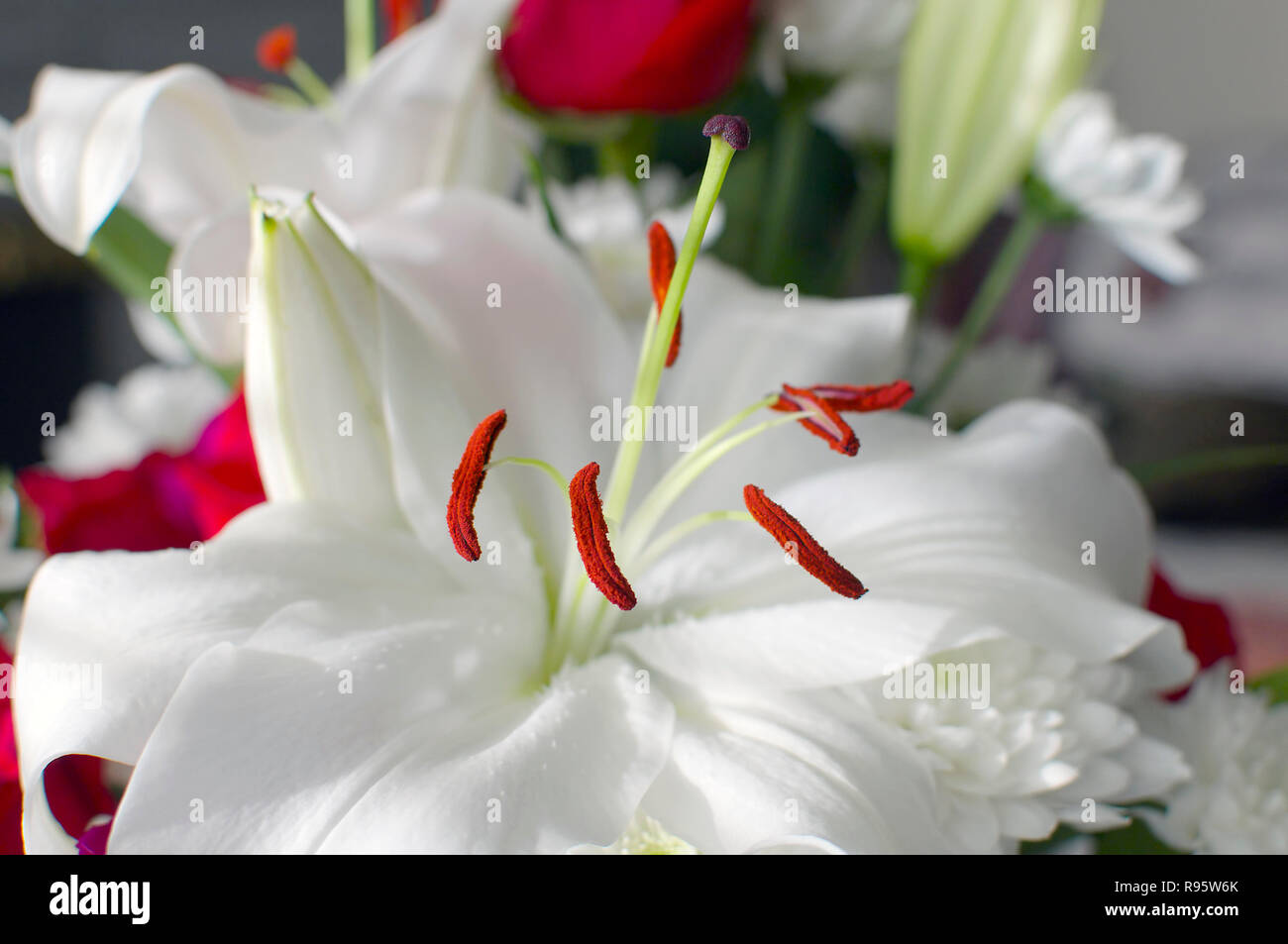 White Easter Lily (Lillium longiflorum) in a floral bouquet Stock Photo ...