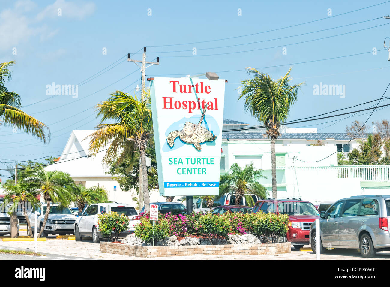 Marathon, USA - May 1, 2018: Turtle Hospital, Sea center, clinic for ...