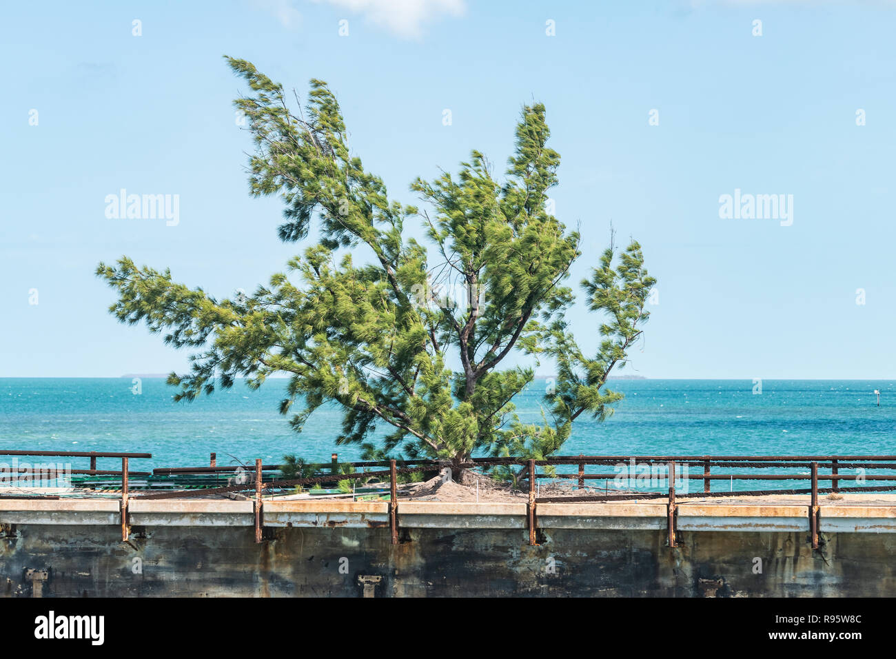 Old seven mile bridge, broken destroyed after hurricane storm, falling ...