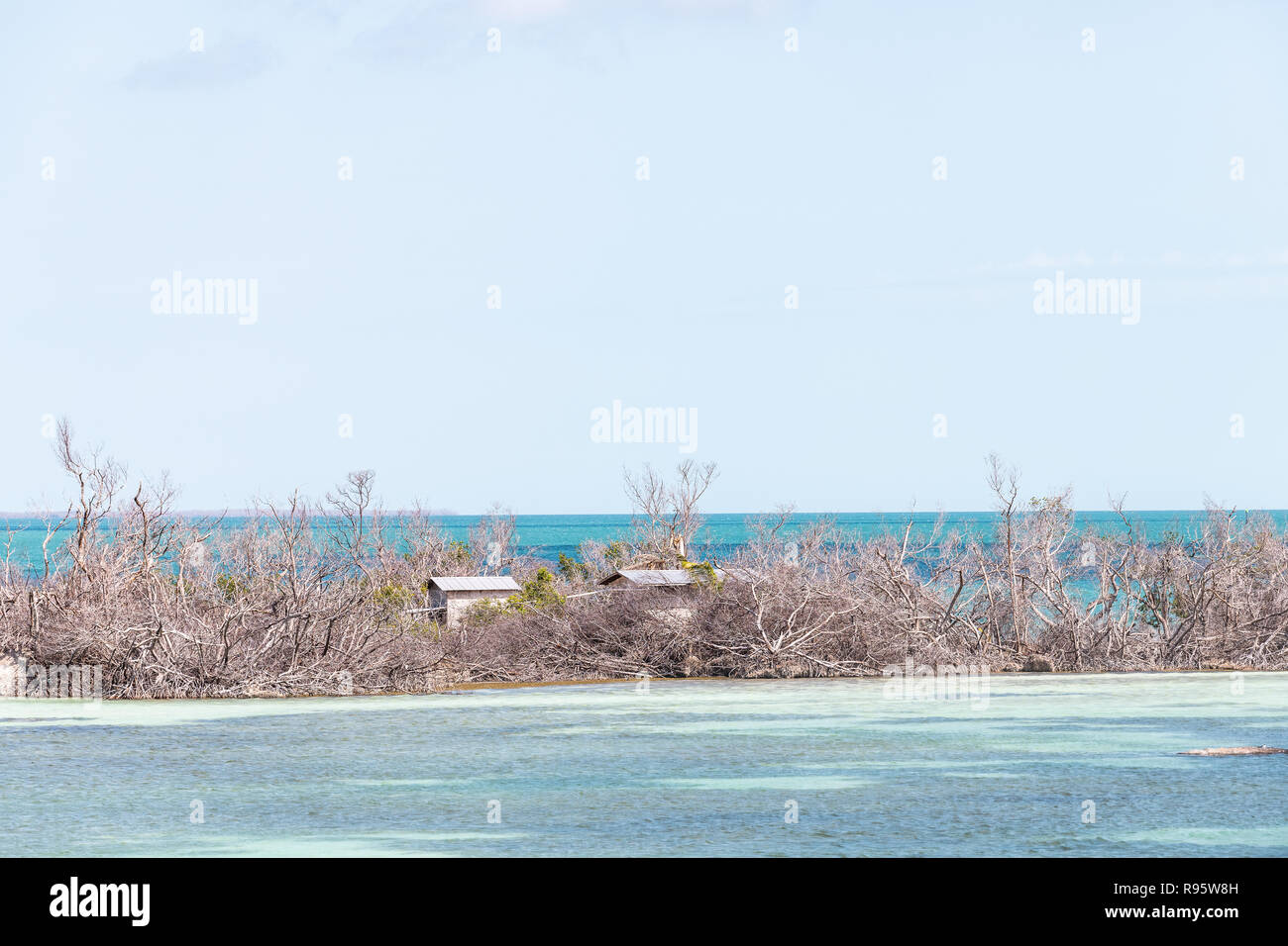 Many damaged, destroyed houses, mangrove on beach by shore, coast in ...