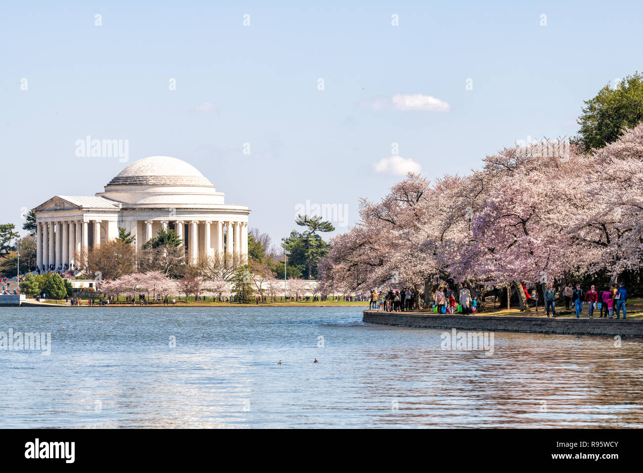 Washington dc sakura hi-res stock photography and images - Alamy