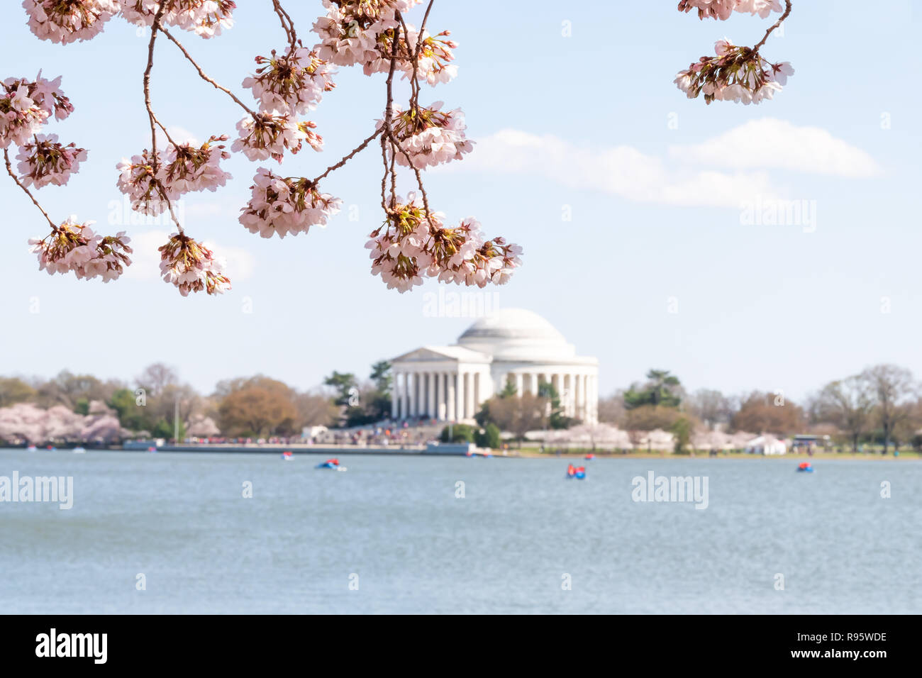 Framing view on Tidal Basin water, spring, cherry blossoms festival ...