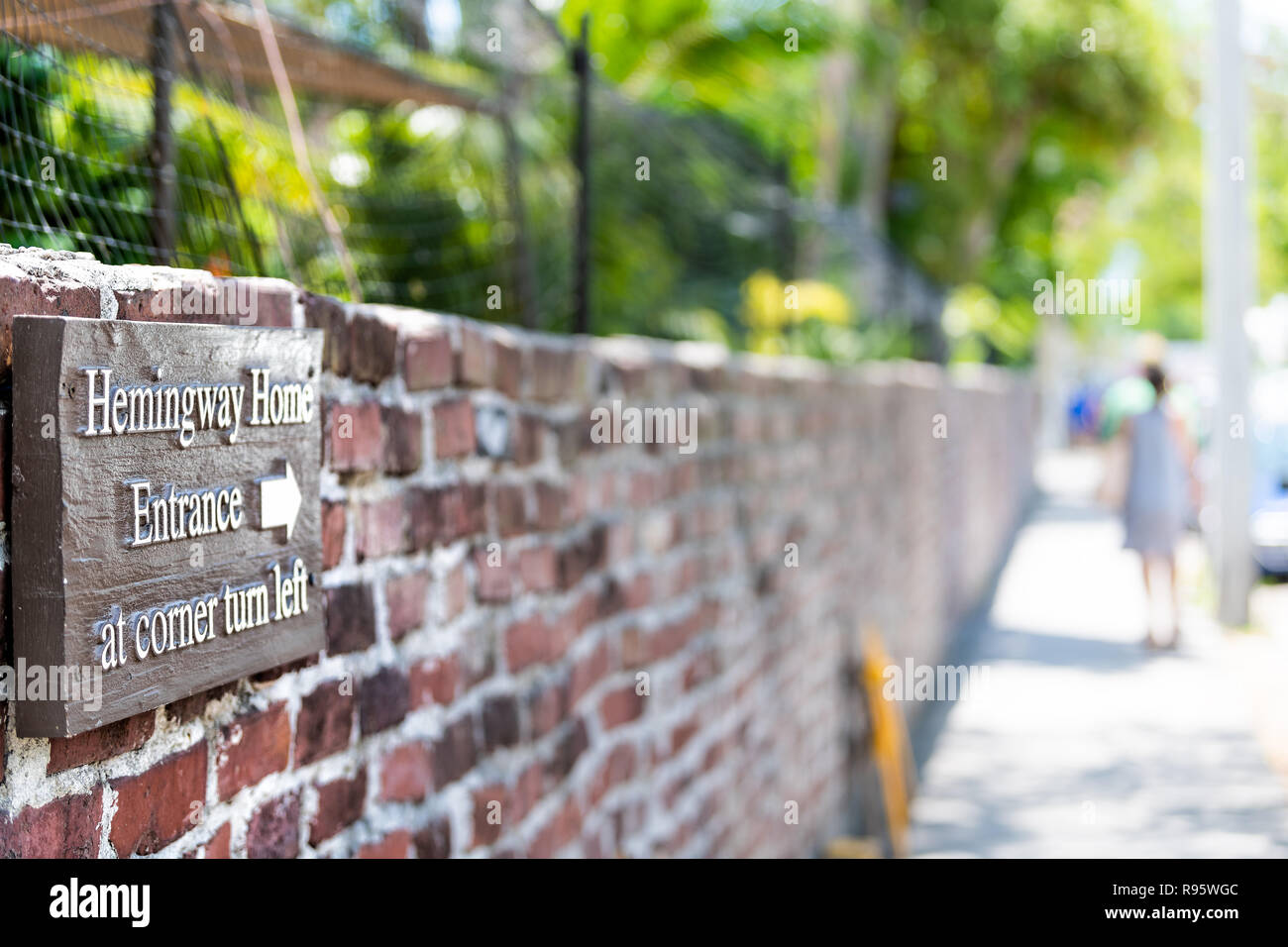 Hemingway house cats hi-res stock photography and images - Alamy