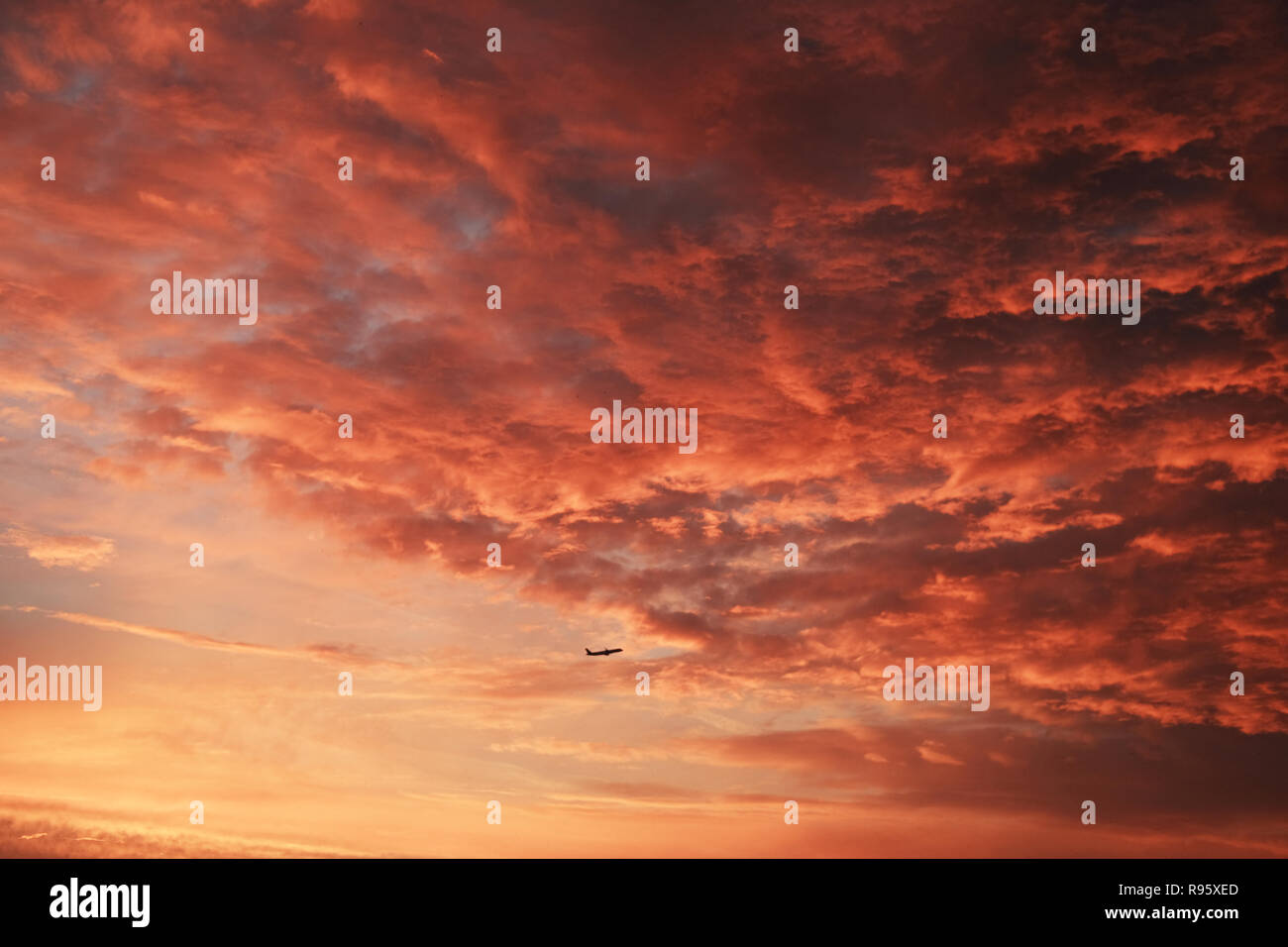 Dramatic and colorful cloudy sunset sky. Living Coral color 2019 Stock ...