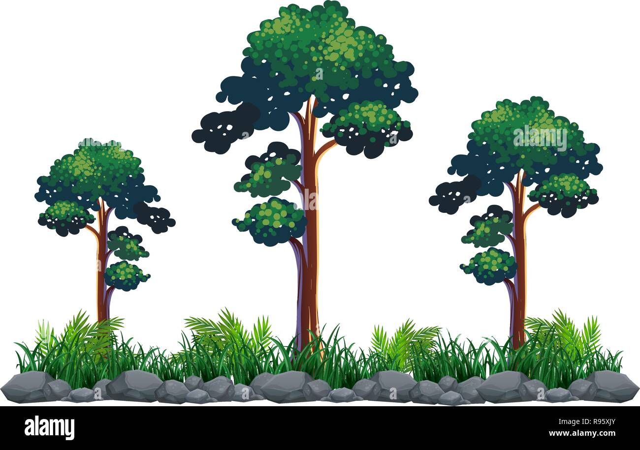 Isolated tree on white background illustration Stock Vector Image & Art ...