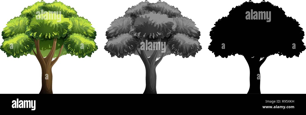 Set of isolated tree illustration Stock Vector Image & Art - Alamy