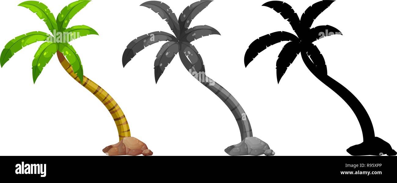 Set of palm tree illustration Stock Vector Image & Art - Alamy