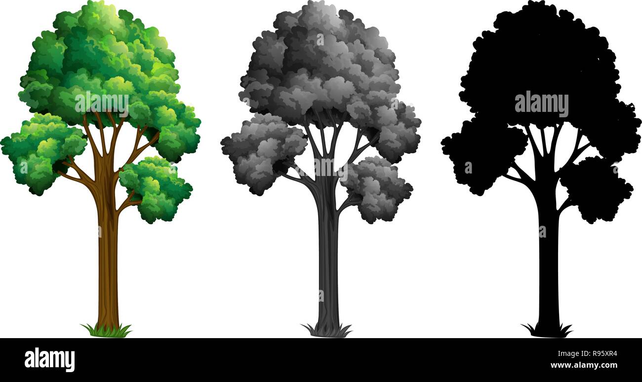 Set of different tree design illustration Stock Vector Image & Art - Alamy