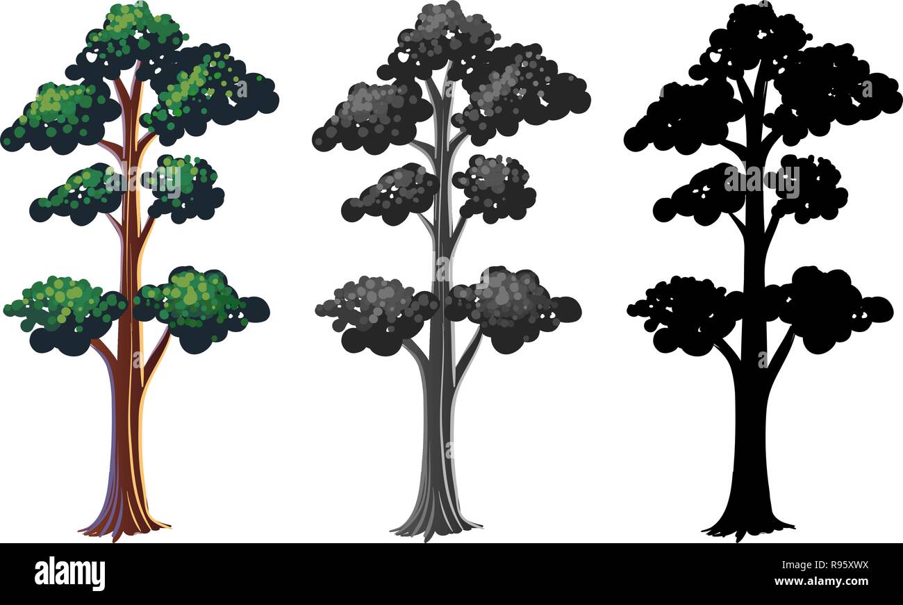 Set of isolated tree illustration Stock Vector Image & Art - Alamy