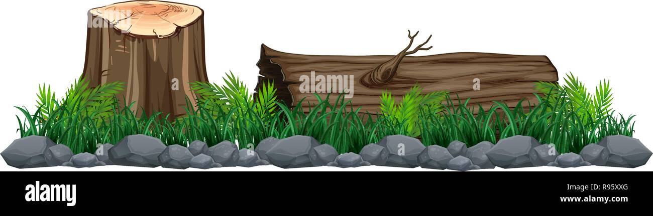 Isolated tree stump on white background illustration Stock Vector Image ...