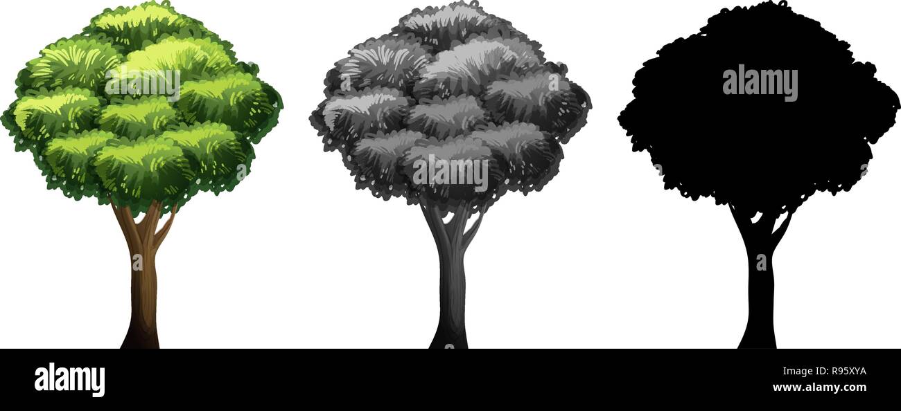 Set of different tree design illustration Stock Vector Image & Art - Alamy