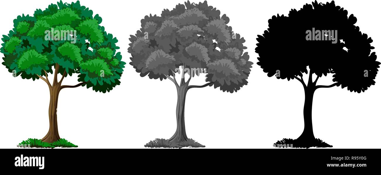 Set of different tree design illustration Stock Vector Image & Art - Alamy