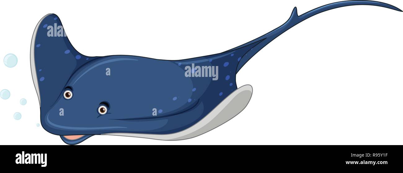 A stingray on white background illustration Stock Vector Image & Art ...