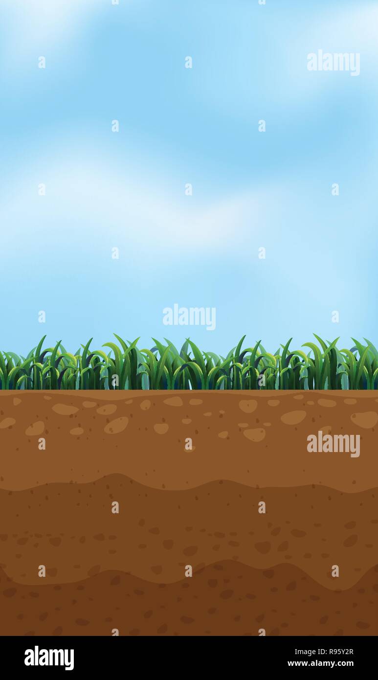 Above soil Stock Vector Images - Alamy