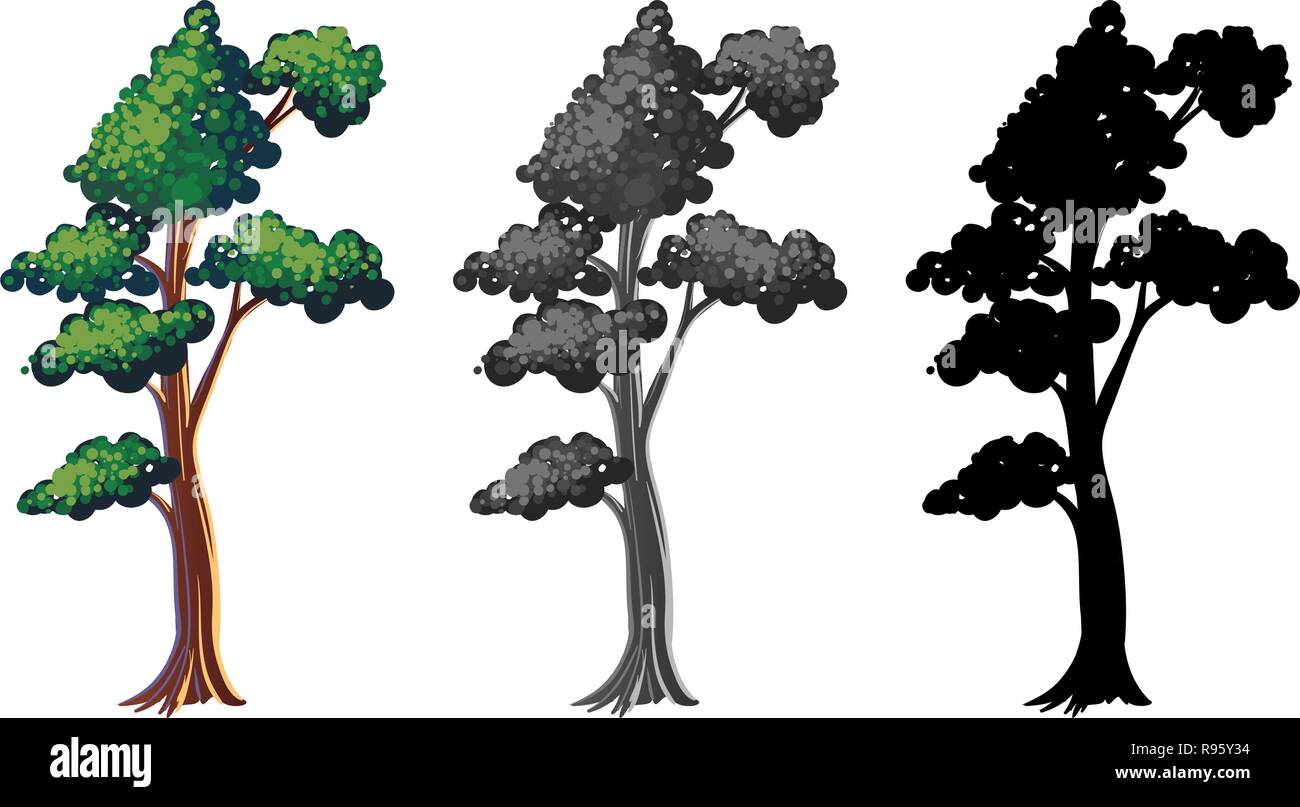 Set of different tree design illustration Stock Vector Image & Art - Alamy