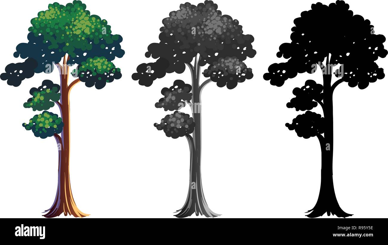 Set of different tree design illustration Stock Vector Image & Art - Alamy