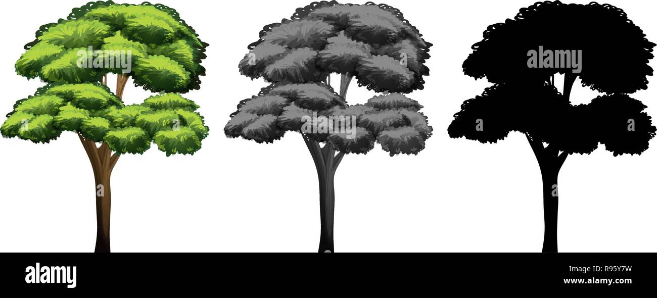 Set of different tree design illustration Stock Vector Image & Art - Alamy