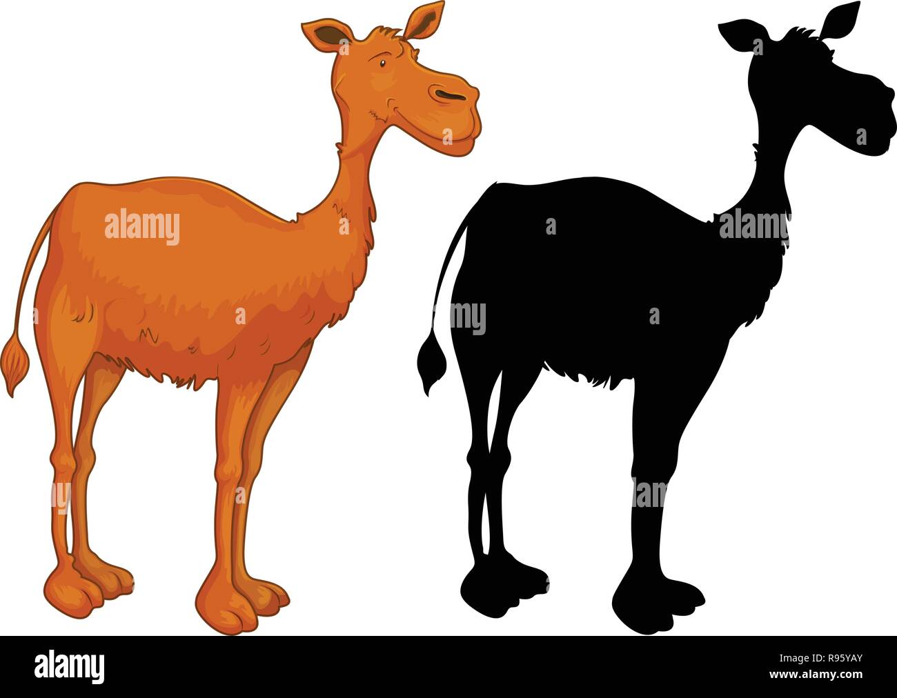 Camel character Stock Vector Images - Alamy