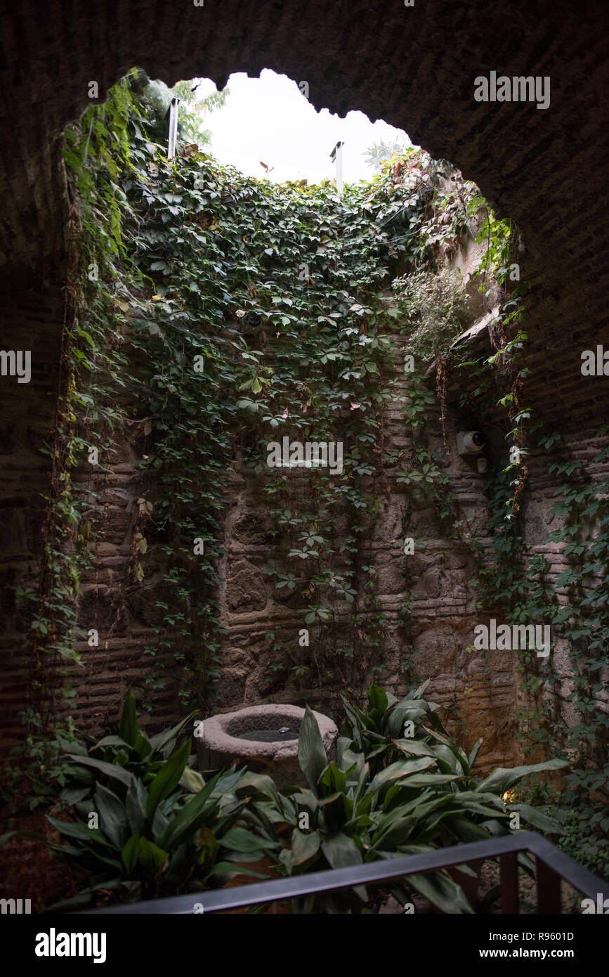 Messy shrubs hi-res stock photography and images - Alamy