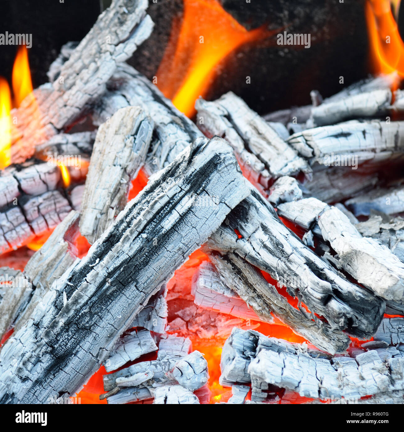 bonfire, fire, wood coal and ash Stock Photo - Alamy