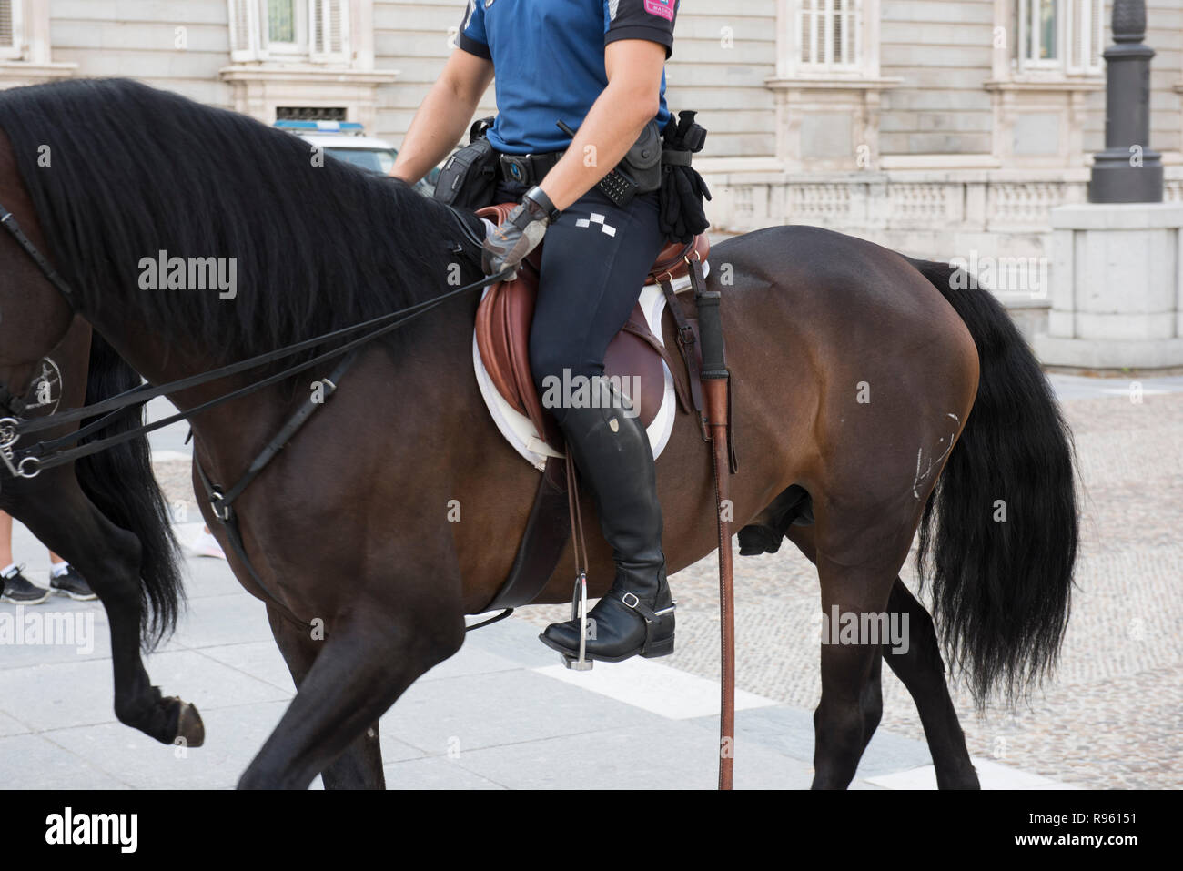 Horse Mounted Policemen guarding the streets of the city. The policemen ...