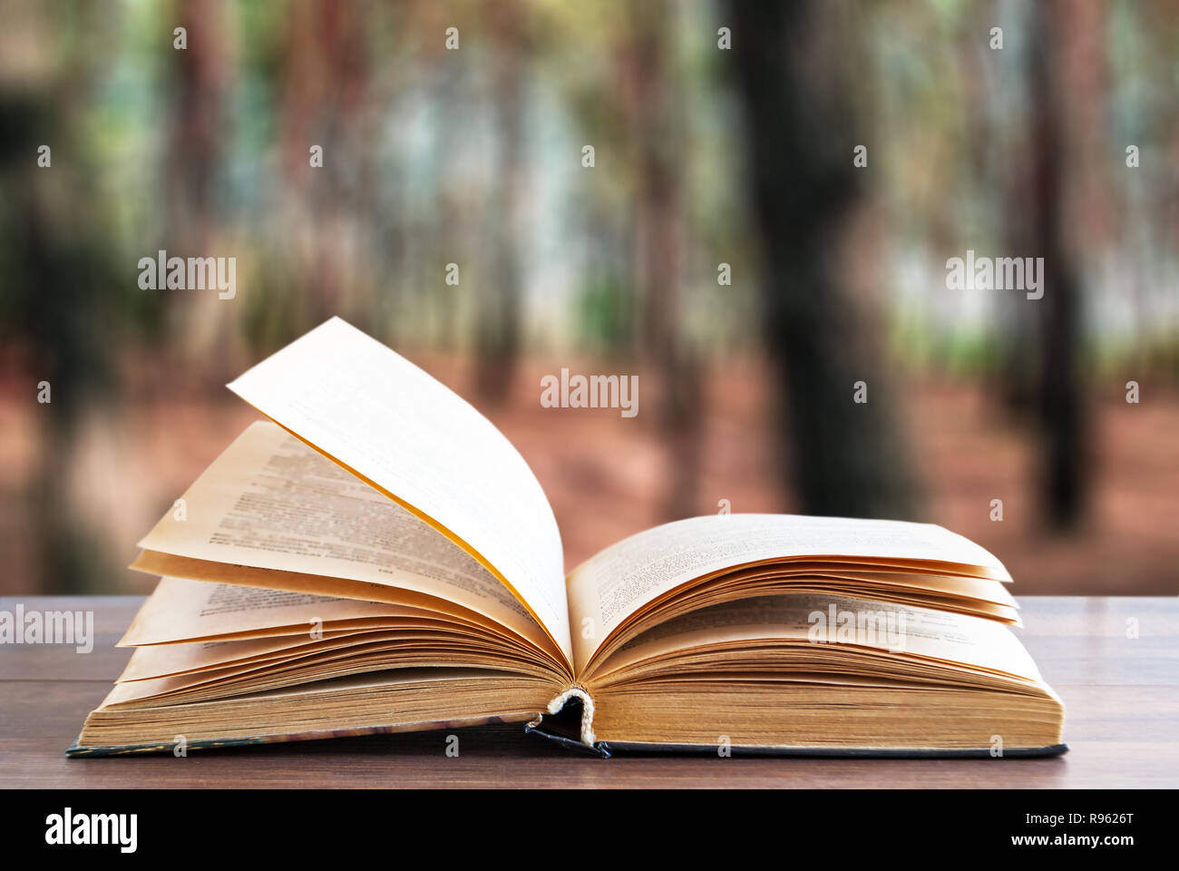 Forest library hi-res stock photography and images - Alamy