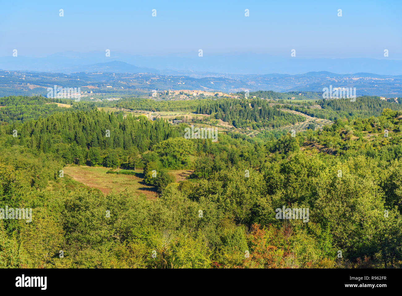 Chianti forest hi-res stock photography and images - Alamy