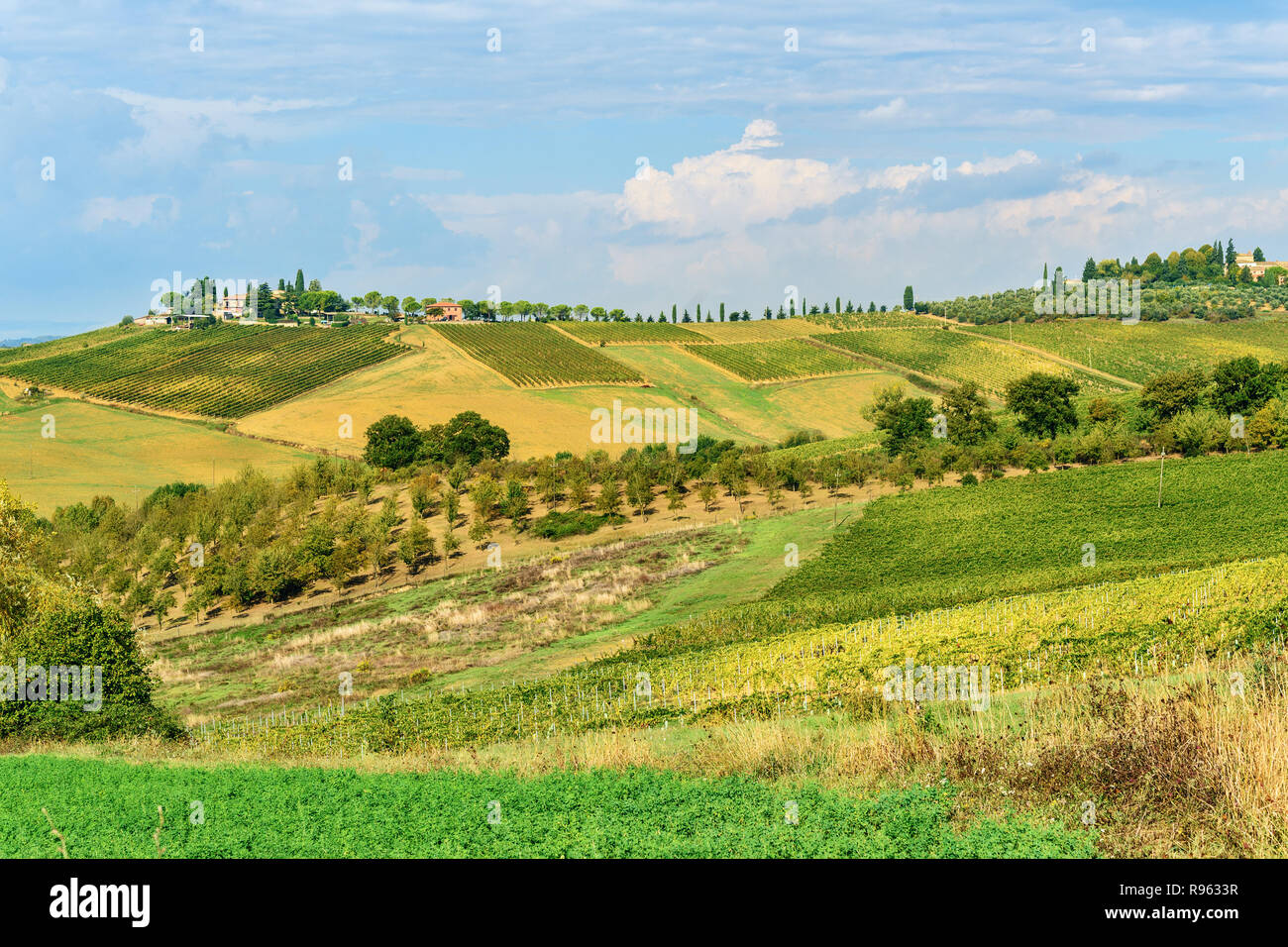 Landscape in Chianti region in province of Siena. Tuscany landscape ...
