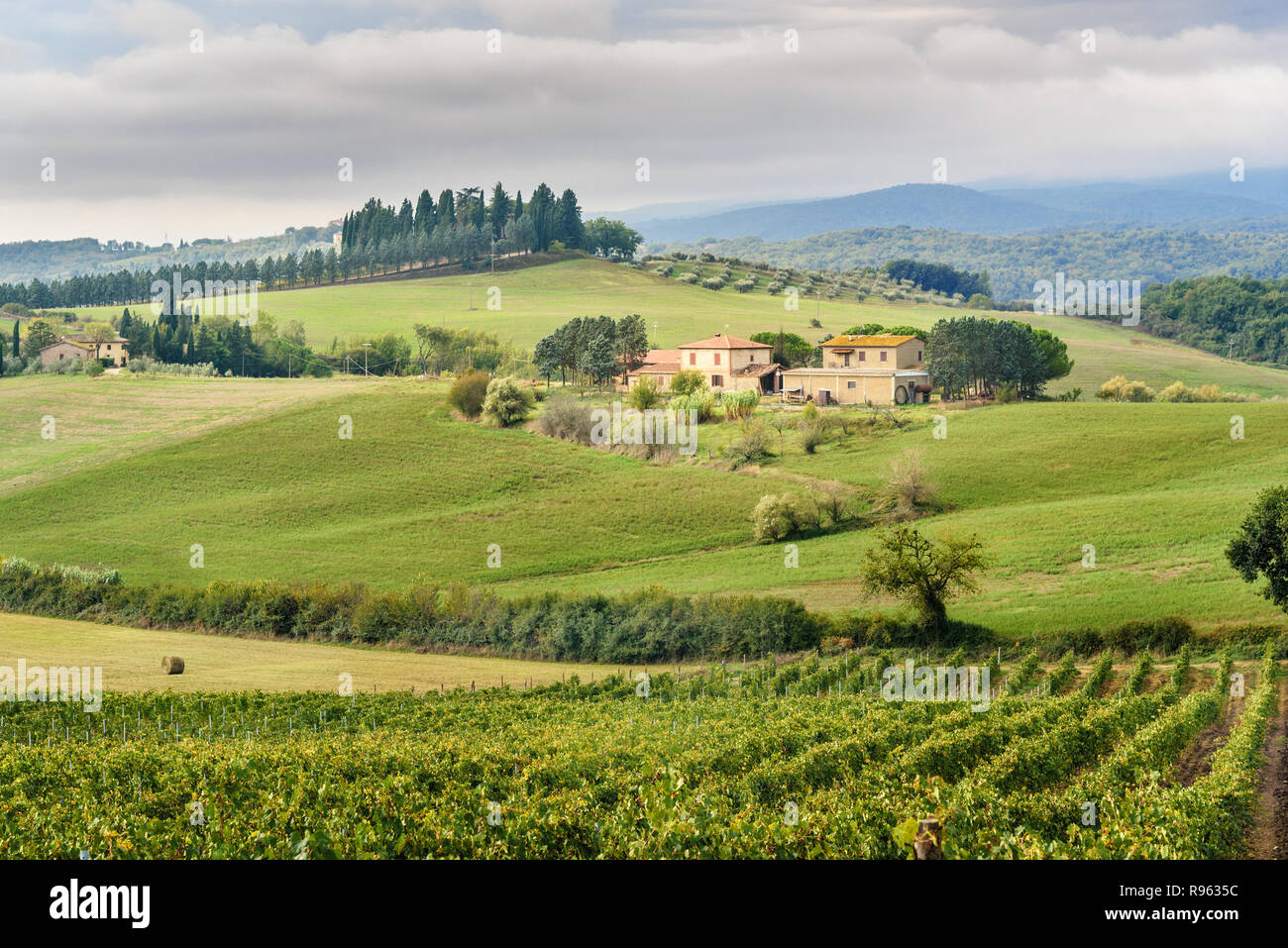 Landscape in Chianti region in province of Siena. Tuscany landscape ...