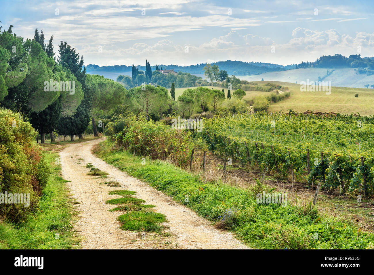 Landscape in Chianti region in province of Siena. Tuscany landscape ...